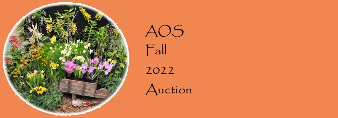 AOS Fall 2022 Auction by AOS | BetterWorld