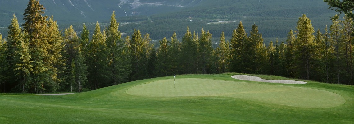 Sample Live Auction by Demo | BetterWorld