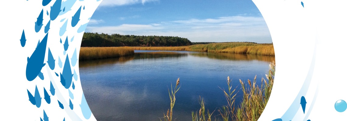 NSRWA's 2023 Online Auction to Protect Local Waters! by North and South ...