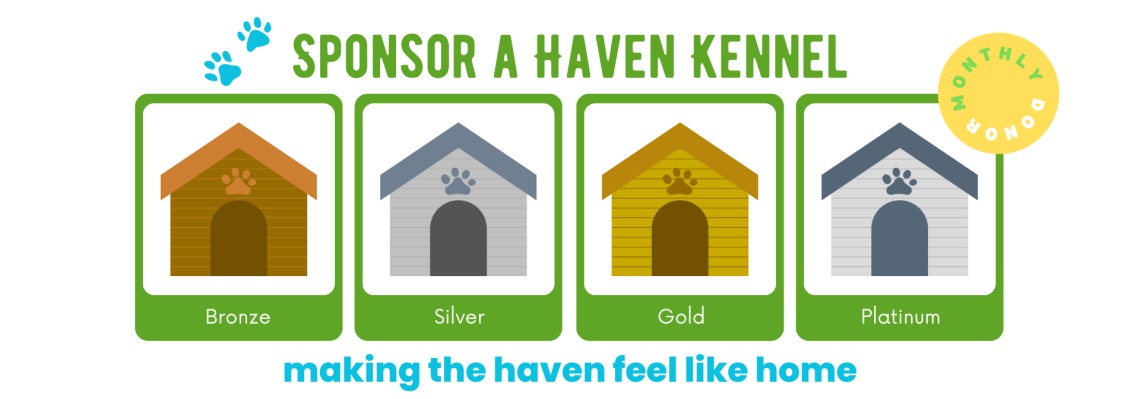 Sponsor a Kennel supporting Everglades Angels Dog Rescue | BetterWorld