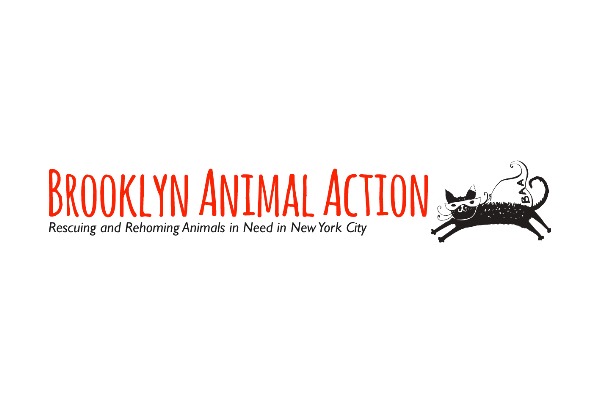 Make a Donation | Brooklyn Animal Action | BetterWorld