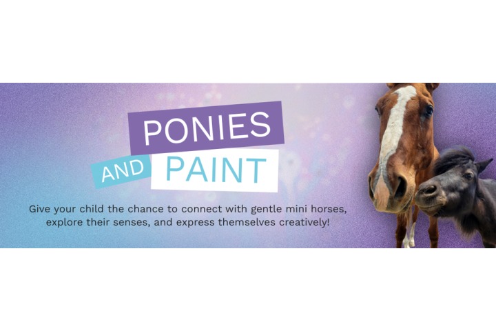 Ponies & Paint | January 2026 | BetterWorld