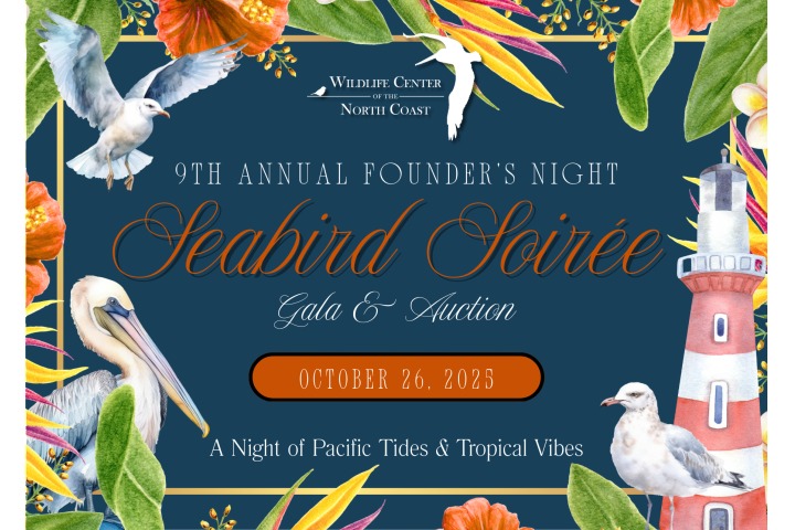 Seabird Soirée: 9th Annual Founder's Night Gala & Auction | BetterWorld