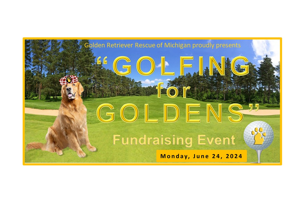2024 "Golfing for Goldens" GRRoM Fundraising Event by Golden Retriever ...