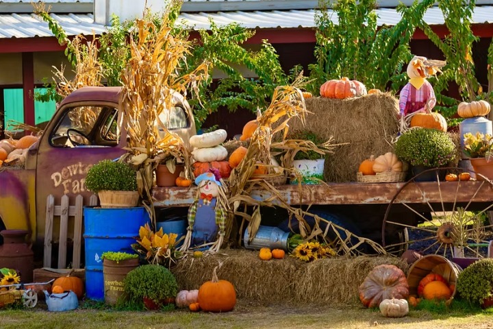 Fall Festival at Dewberry Farm | BetterWorld