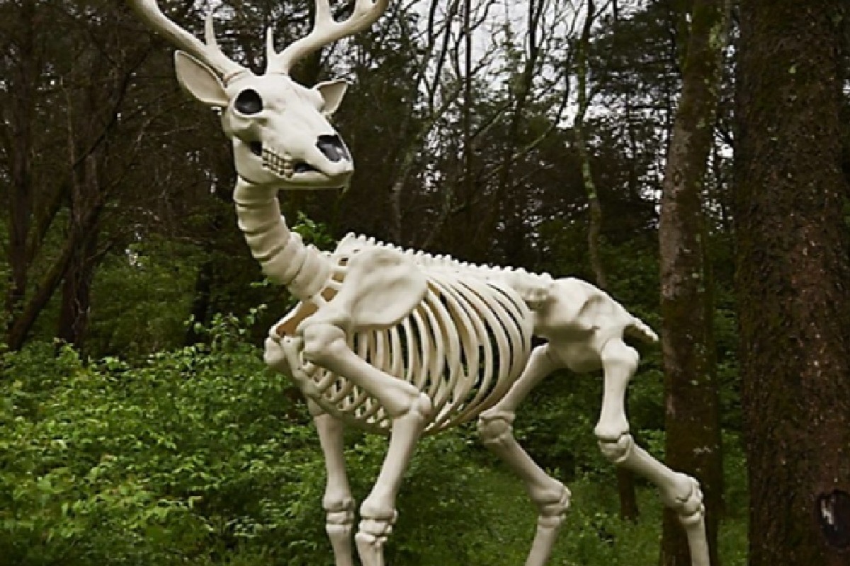 RED SHED 7.9 FT BUCK SKELETON | BetterWorld