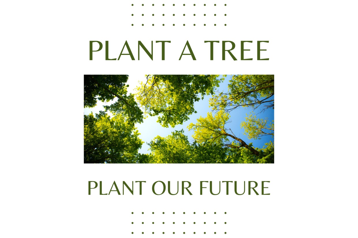 Plant a Tree for the Campus Beautification Project | 2025 RMS PTA Denim ...