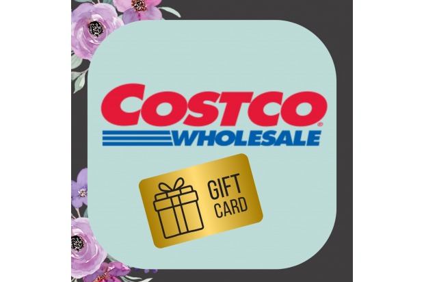 Costco Gift Card! | Second Annual Absolute Love Auction | Absolute Love ...