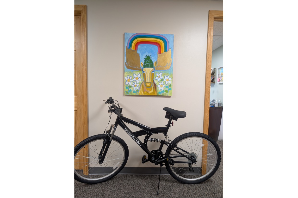 SmartWater 26" Mountain Bike | CAC Color Run Silent Auction | Child ...
