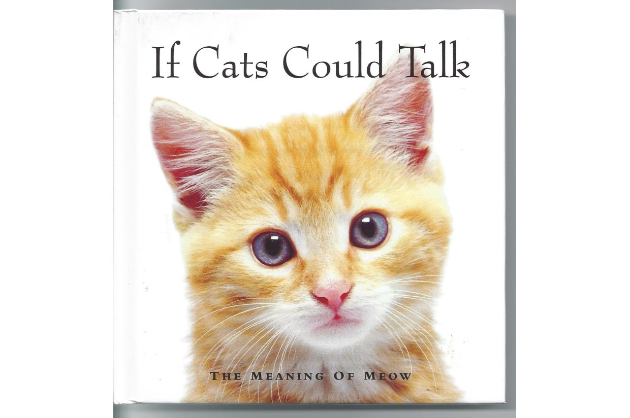 If Cats Could Talk: The Meaning of Meow Book | Pawesome Auction 2025 ...
