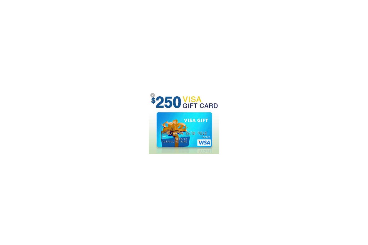 High Point Market Authority - $250 Visa Gift Card | Harvesting Hope ...