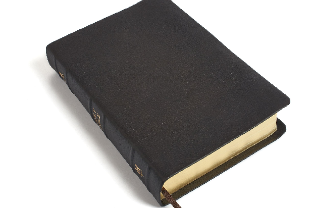 Leather HCSB Giant Print Bible | Spring Auction 2019 | MOPS at Grace ...