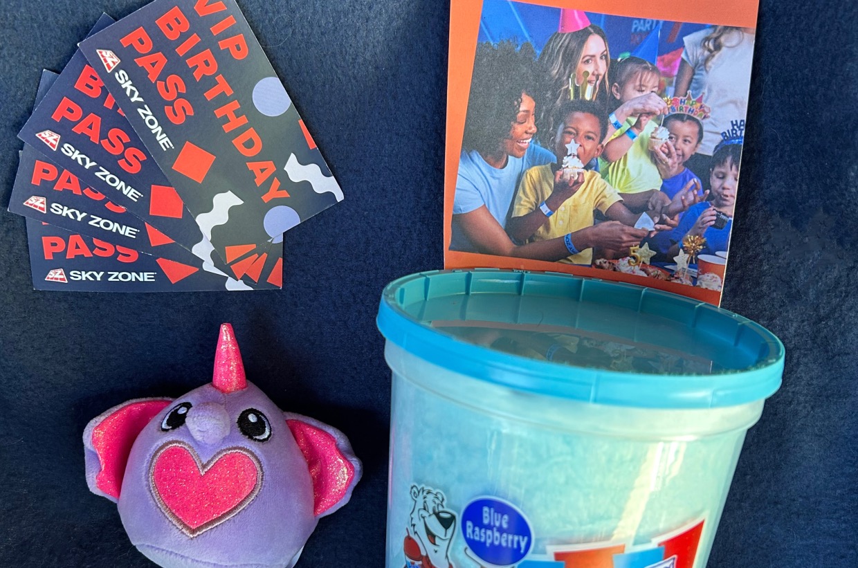 Sky Zone VIP Kids Pack — WFSC Silent Auction 2025 — Woodbury Figure ...