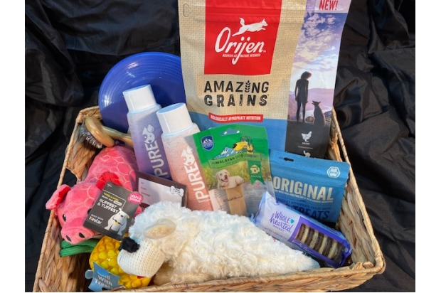 Man's Best Friend Basket | Anchorage STrEaM Academy Annual Spring ...