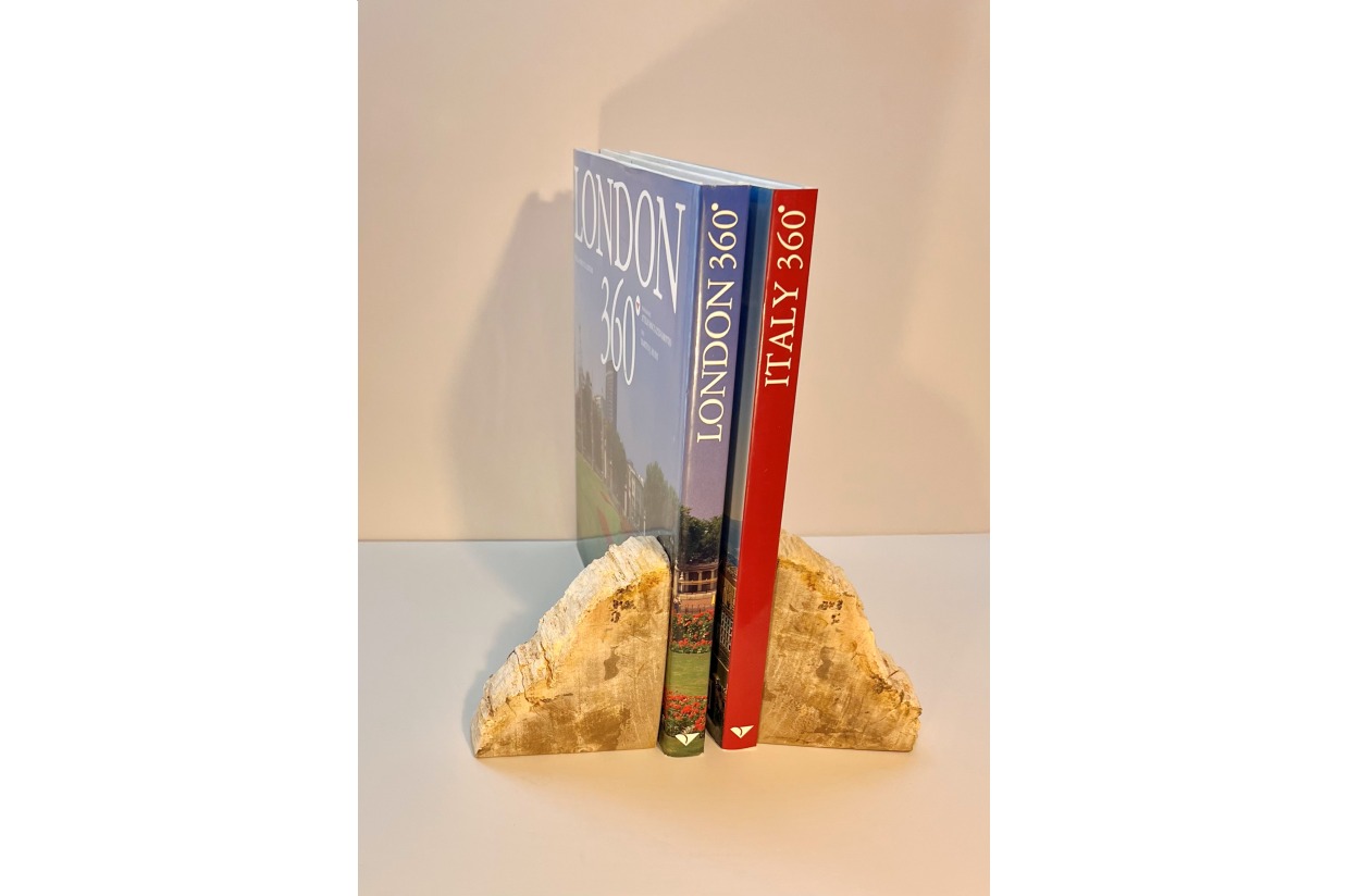 Petrified Wood Book Ends | Fuel the Fire of Helios - 2024 Silent ...