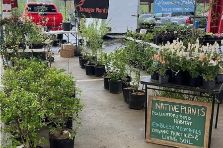 Food Forest Starter Pack: 6 Fruit & Nut trees! — Online Auction Items ...