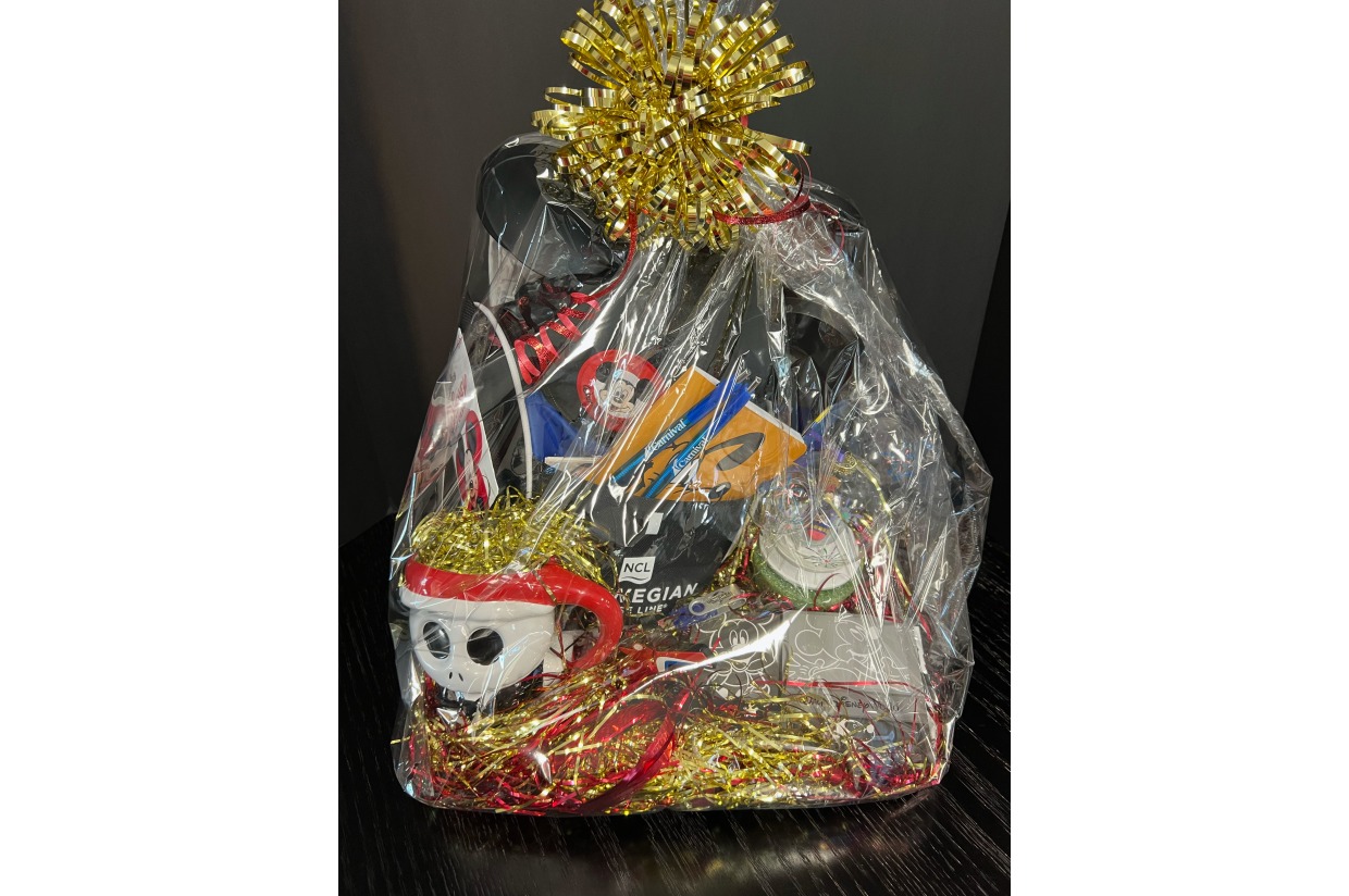 Basket 10: Magical Vacation Adventure Bundle | 2025 Winter Gala ...