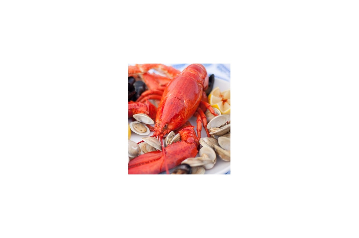 Seafood Home Bake Kit - Castle Hill Lobster Company | Pawprints in the ...
