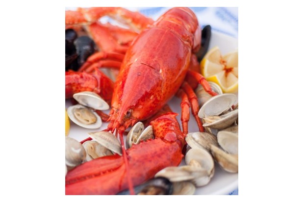 Seafood Home Bake Kit - Castle Hill Lobster Company | Pawprints in the ...