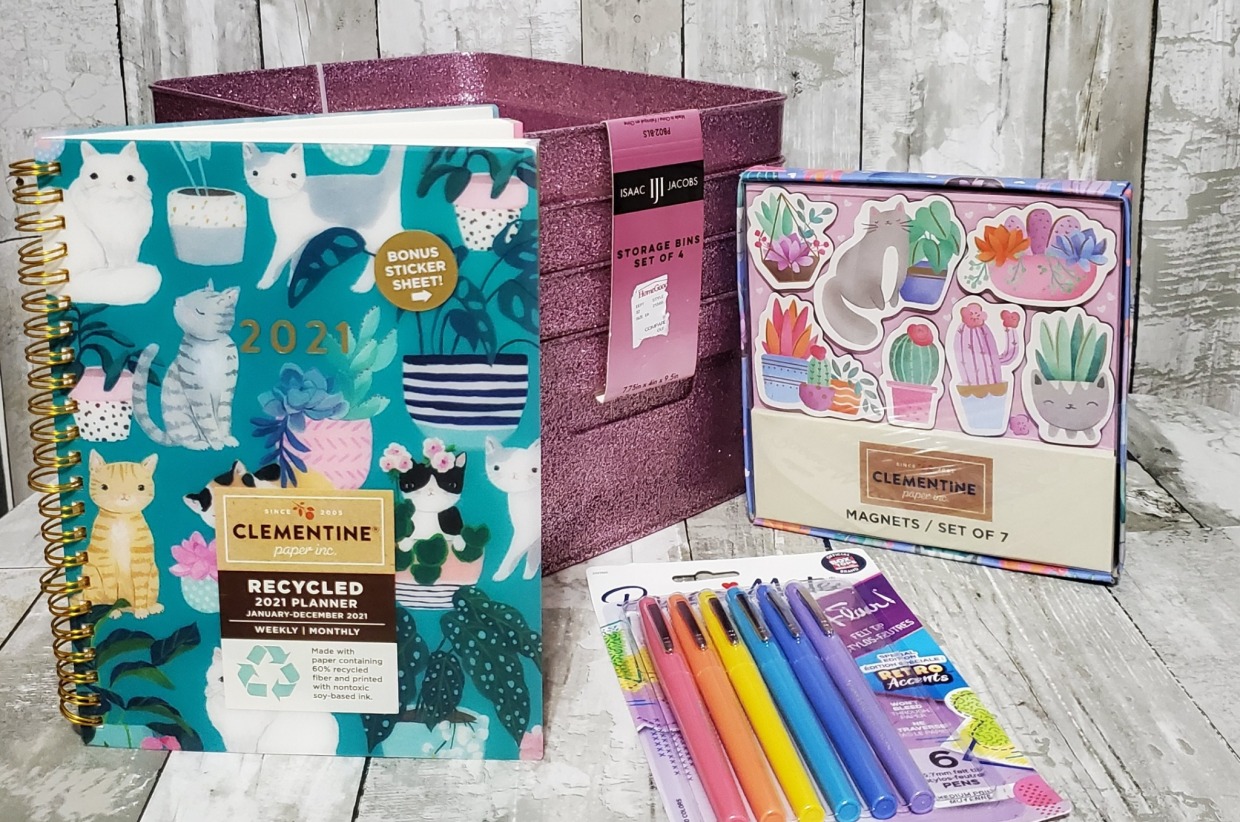 Kitty Office Bundle — Let the Shenanigans Begin — Colony Cats and Dogs ...