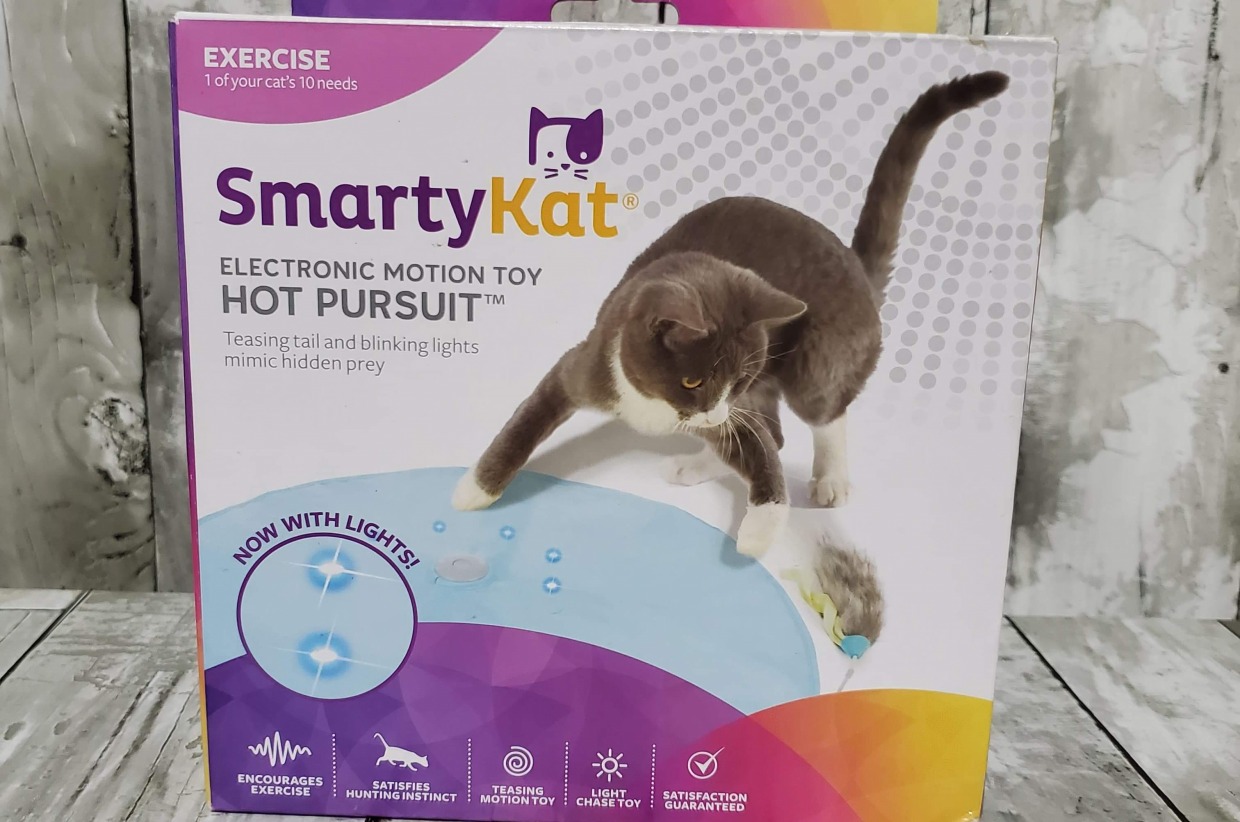 SmartyKat Hot Pursuit Electronic Concealed Motion Cat Toy, Blue | Fall ...