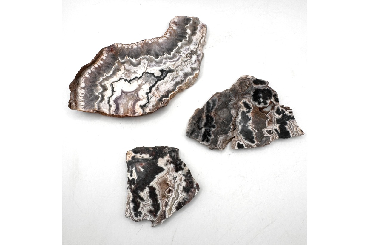 3 Slabs Lace Agate | 2023 Instructor Holiday Auction | William Holland ...