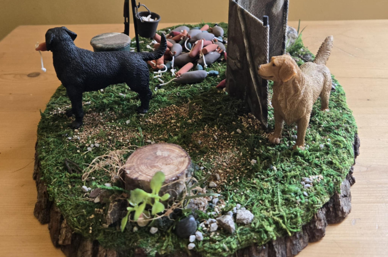 Training Day | 2025 Spring Grand - Wisill HRC | Hunting Retriever Club ...