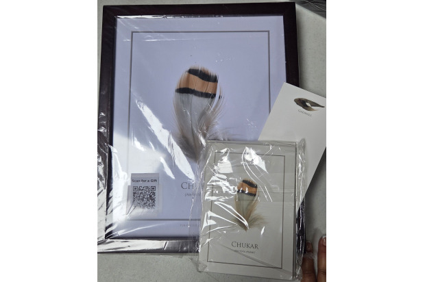 Pinion Brand Bundle #3 | 2025 Spring Grand - Wisill HRC | Hunting ...