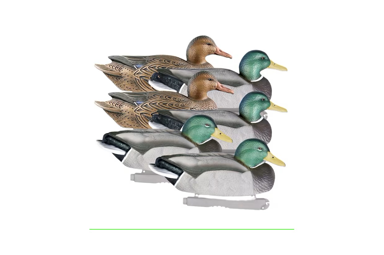 Avery Site Decoys | 2025 Spring Grand - Wisill HRC | Hunting Retriever ...