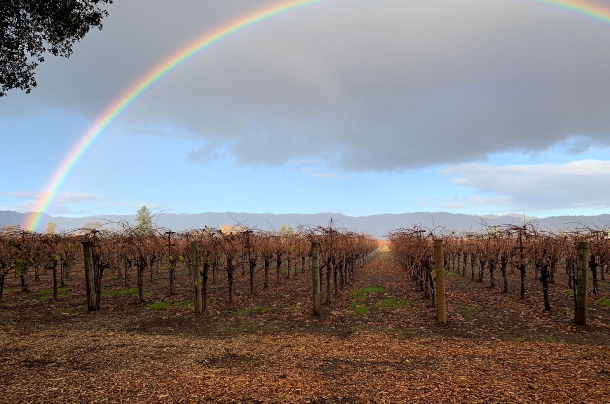 Hayfork Wine | 2022 Napa Valley State Parks Online Auction | Napa ...