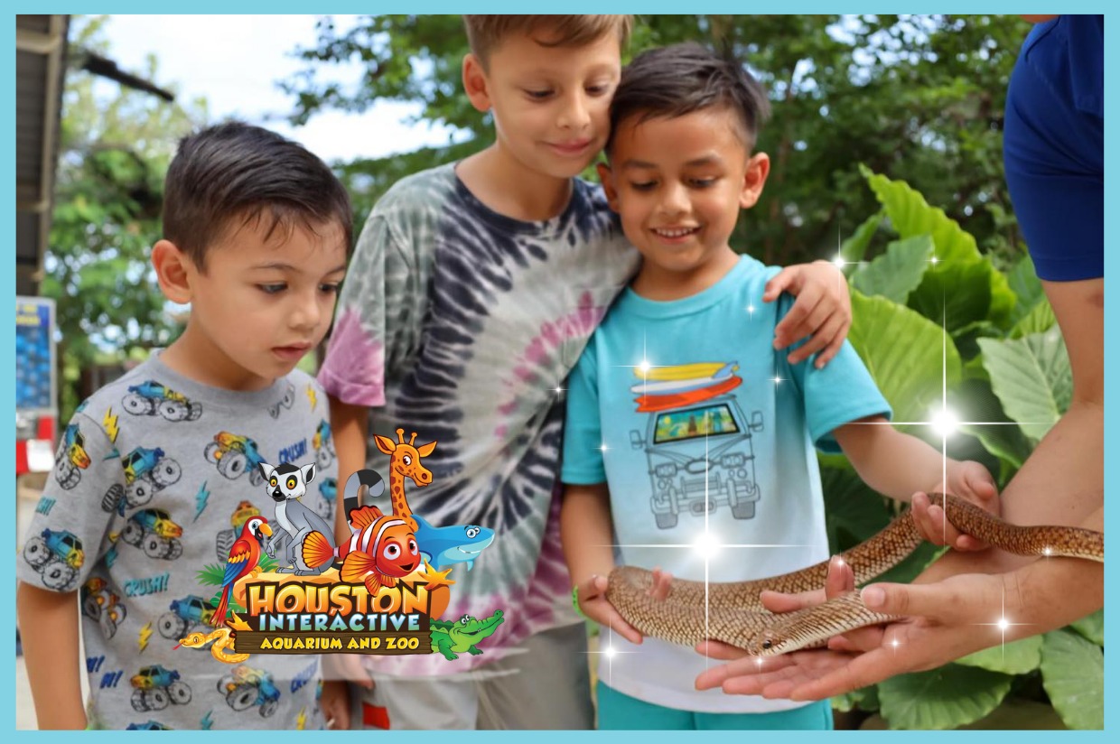 Houston Interactive Aquarium & Animal Preserve- Family Membership ...