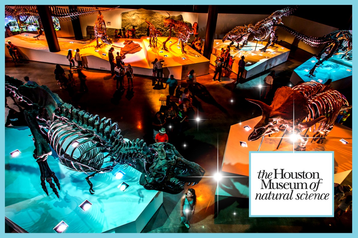 Houston Museum of Natural Science- Family Membership — Deerwood ...