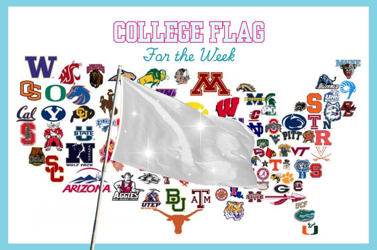Fly YOUR College Flag For A Week | Deerwood Elementary PTA Fall Silent ...