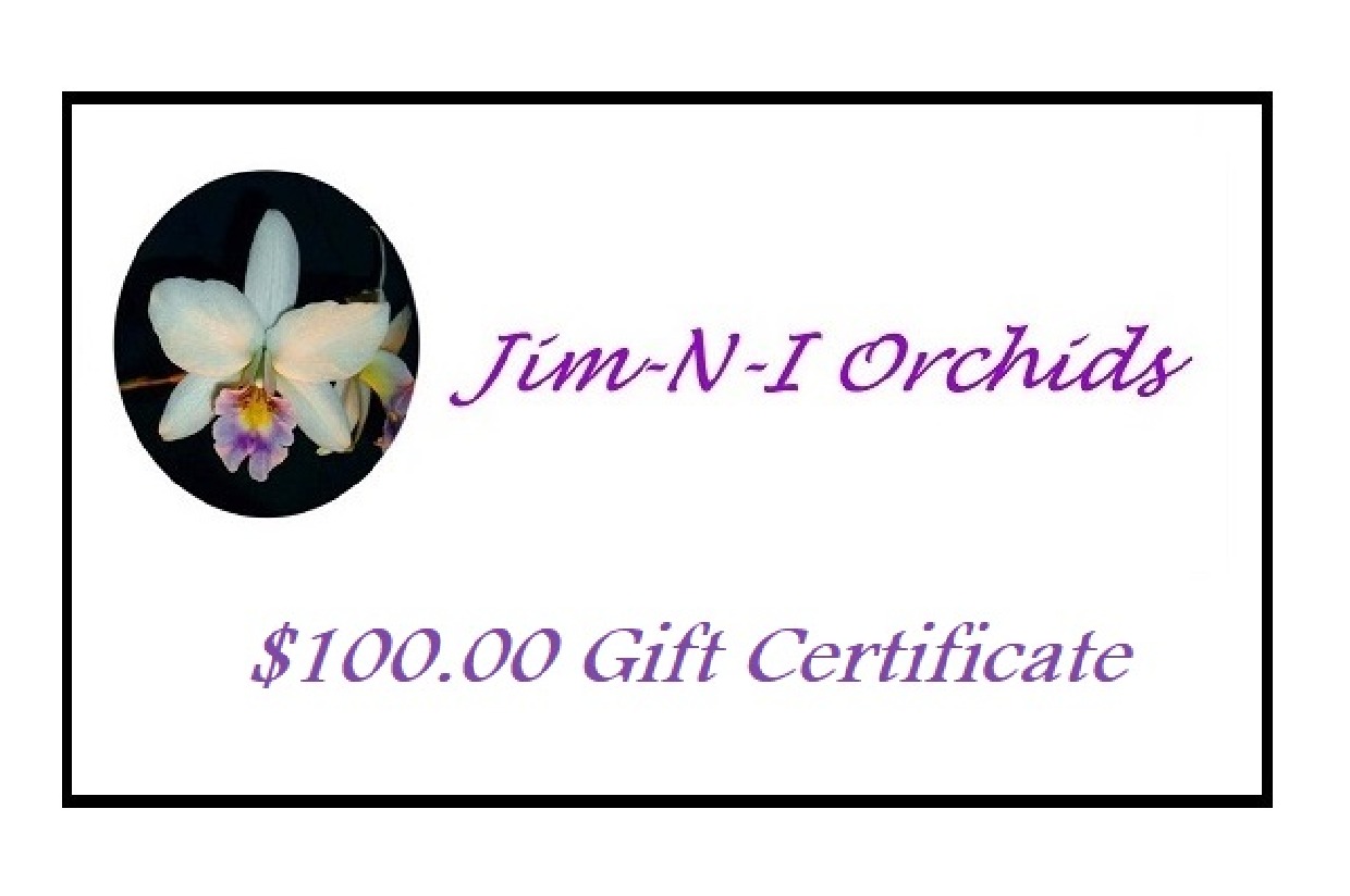 Jim-N-I Orchids Gift Certificate — AOS Fall 2022 Auction — AOS ...