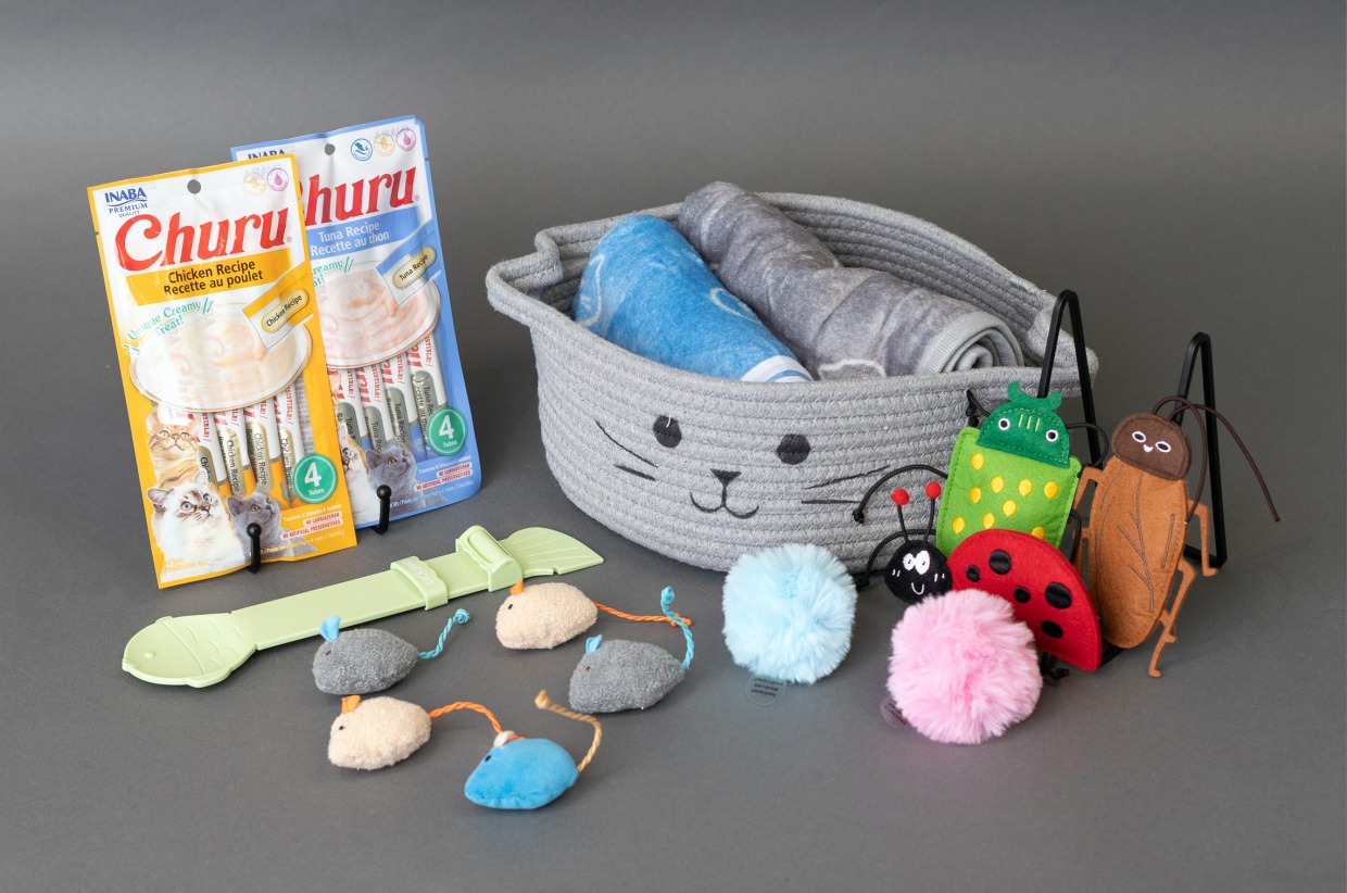 #PET20: Whisker Wonderland Cat Basket — 2025 Silent Auction — The Bitty ...