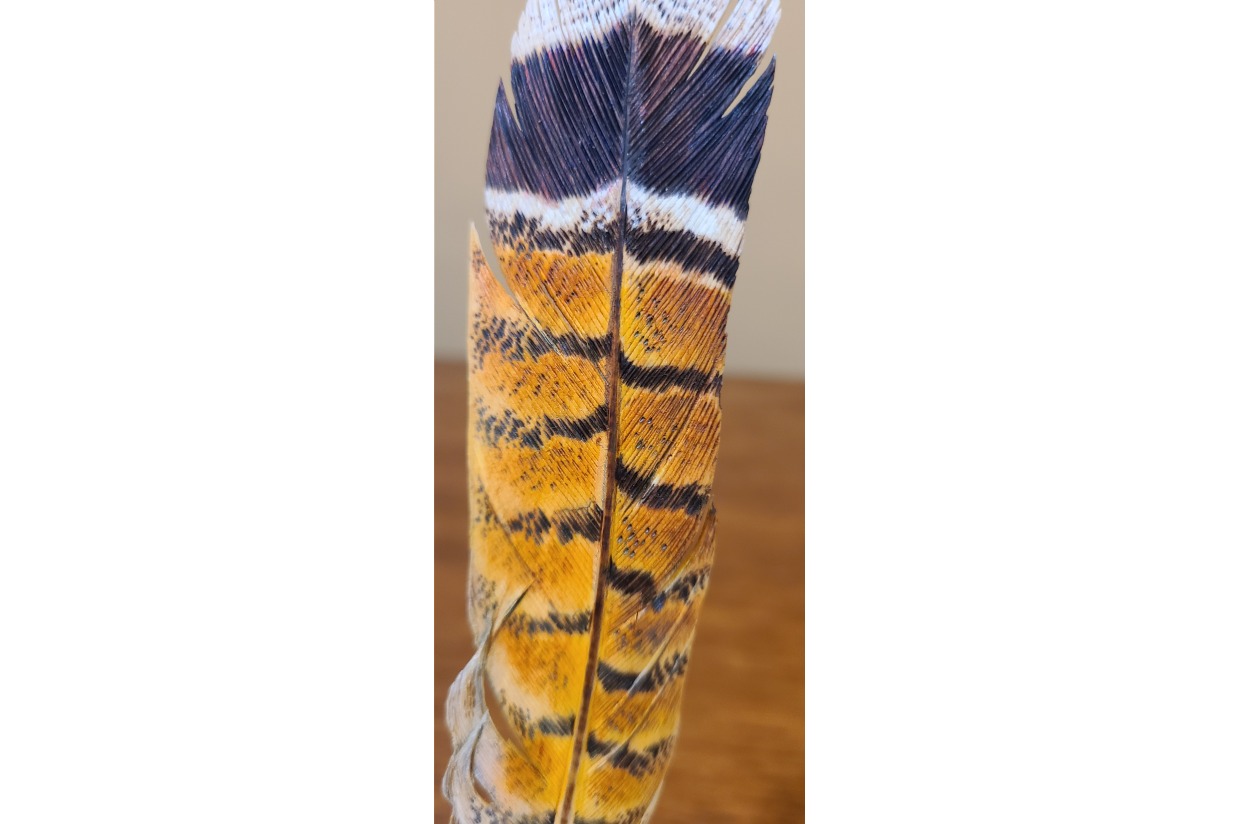 Gary Yoder Hand Carved Ruffed Grouse Feather | Festival of Trees 2021 ...
