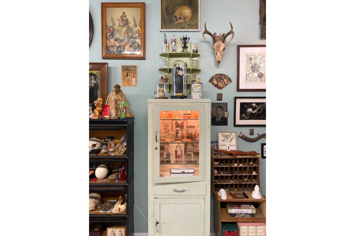 A Private Tour of Renowned Morbid Anatomy Library — Memento Mori Market ...
