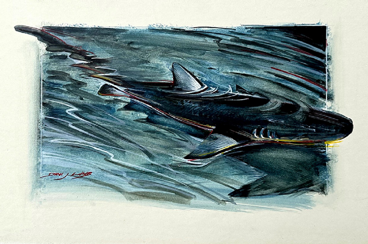 Shark and Water Study | Art for Sharks- Saving Endangered Sharks ...