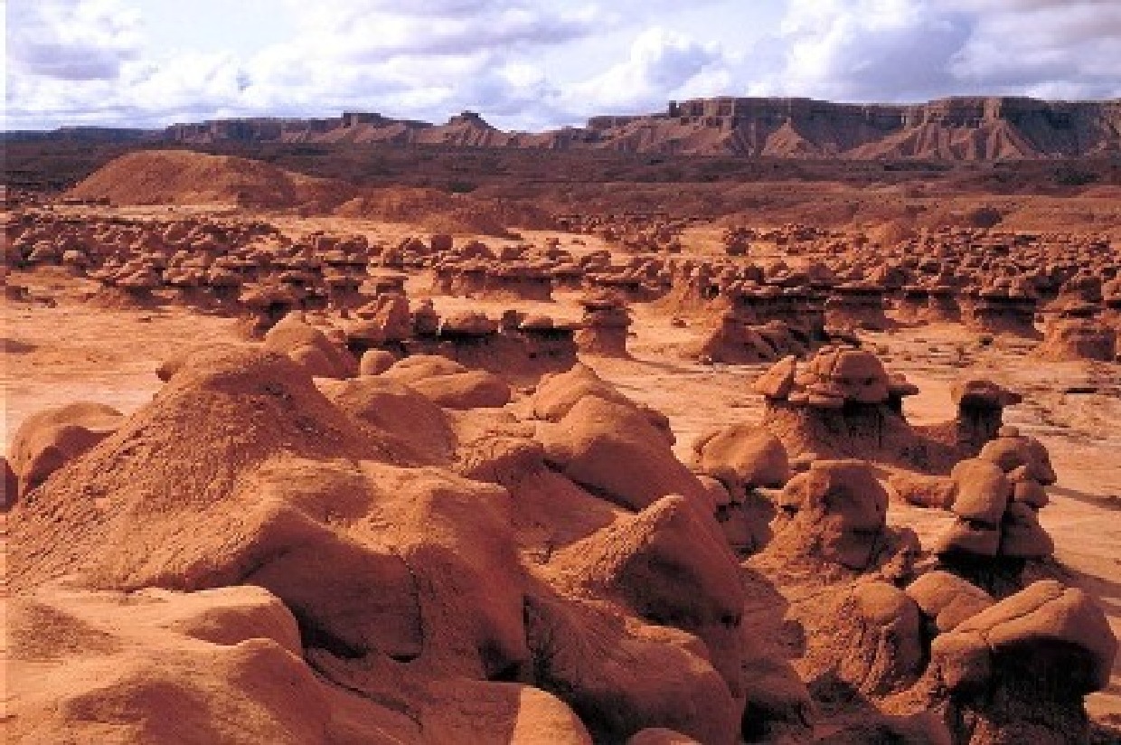 #56 Utah State Parks Pass | 2022 UTAH MUSEUMS ASSOCIATION AUCTION ...