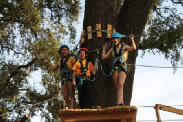 (West Sac) Tree Top Adventures: High Ropes Course Sacramento ($255 ...