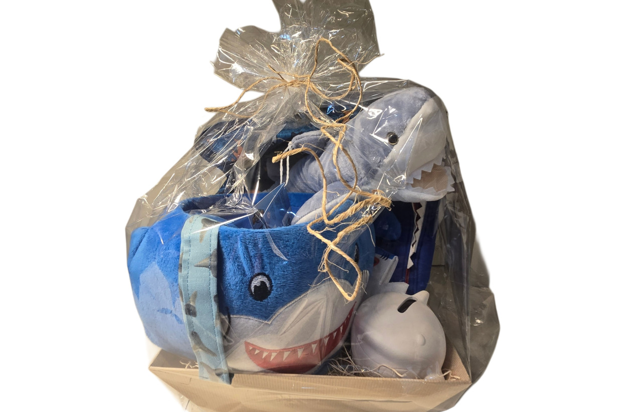 Shark Bucket | 2025 NCFossilFest Auction | Aurora Fossil Museum ...