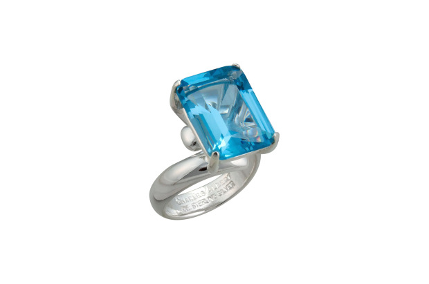 Blue Topaz Rectangle Prong Set Adjustable Ring | 2025 NCFossilFest ...
