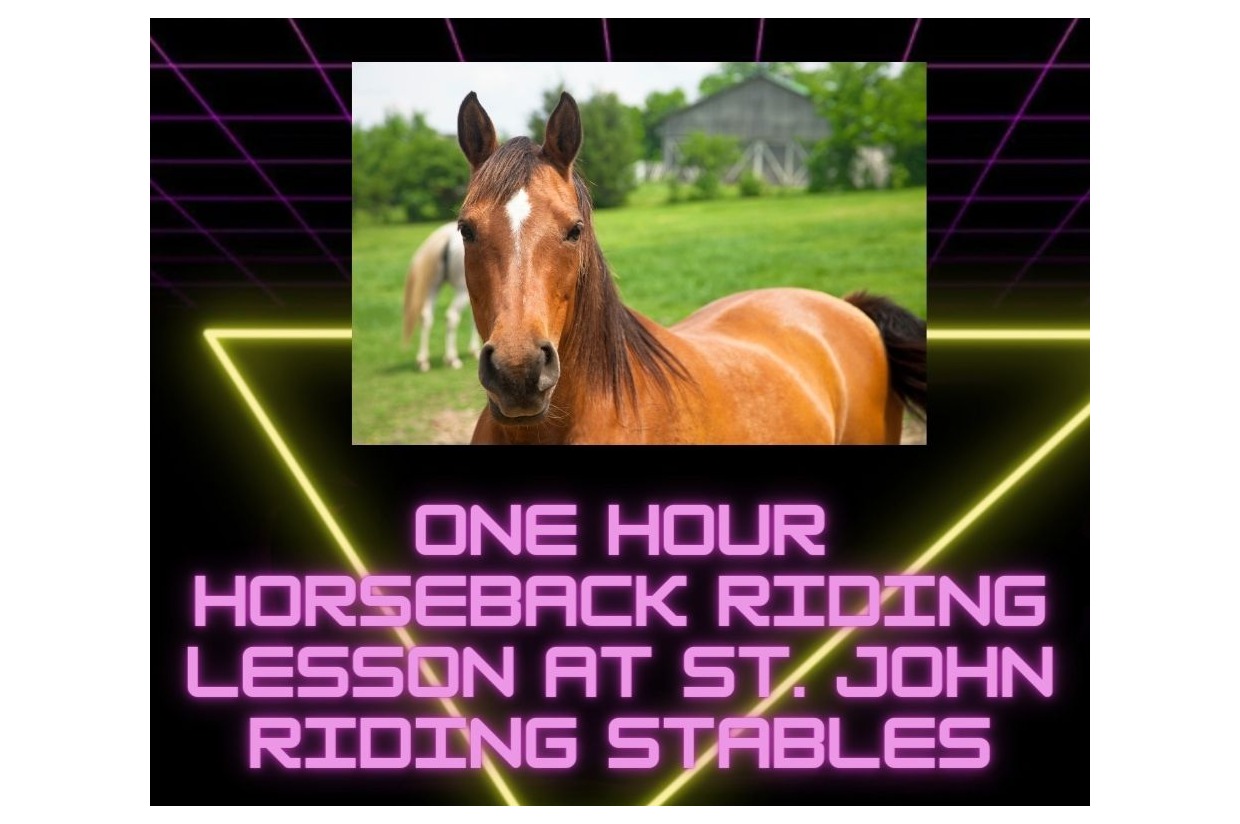 One Hour Horseback Riding Lesson at St. John Riding Stables | SJA ...