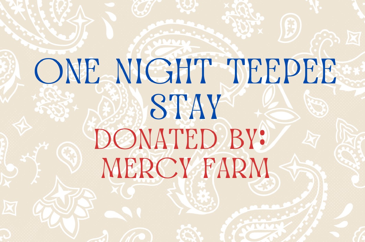 One Night Stay at Mercy Farm | SJA Parish Fair 2025 Silent Auction | St ...