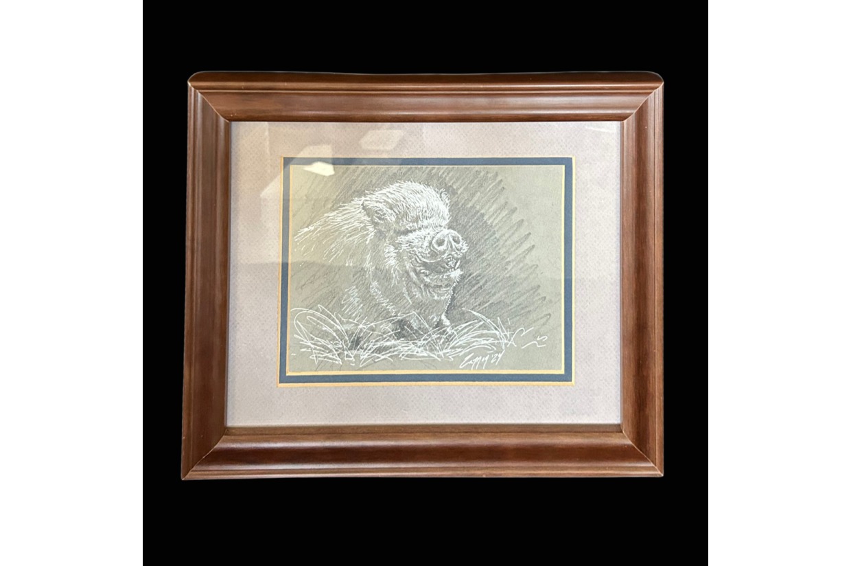 "Happy Days" Art | Spring Pig-nic 2024 | Iowa Farm Sanctuary | BetterWorld