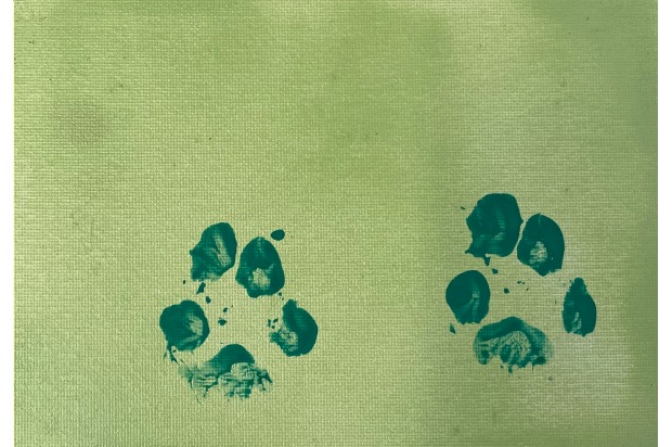 Serval - Syreena | Capron Park Zoo's Annual Animal Art Auction ...