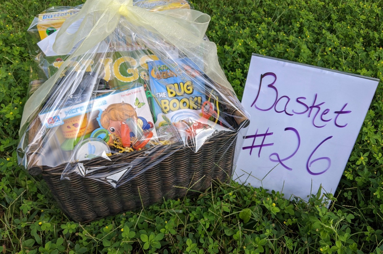 Basket #26 Bugs, Bugs, Bugs! | 2020 LMU Children's Center Silent ...