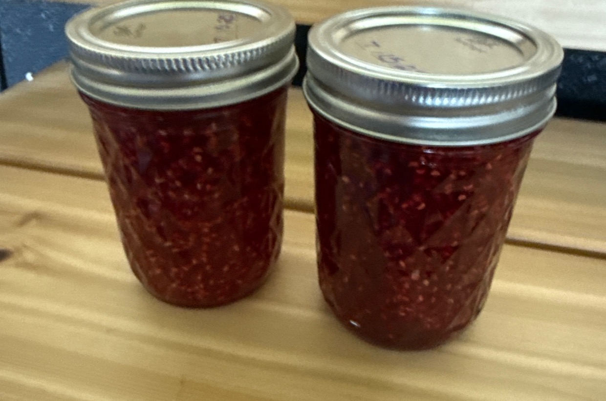 Raspberry Jam | 2025 Stalker Lake Cancer fundraising auction | stalker ...