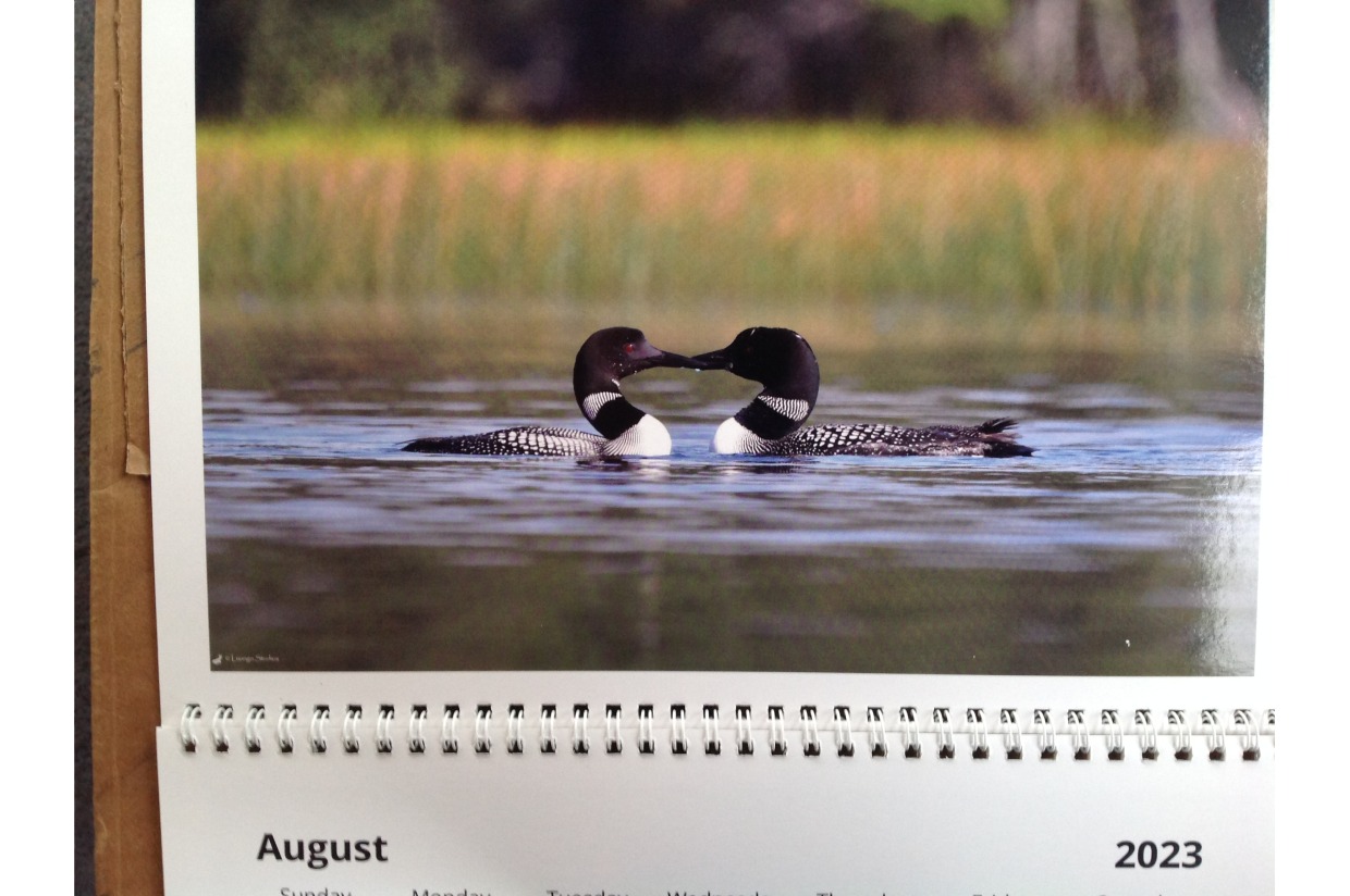 Wildlife Photography Calendar | Chatham Historical Society | Chatham ...