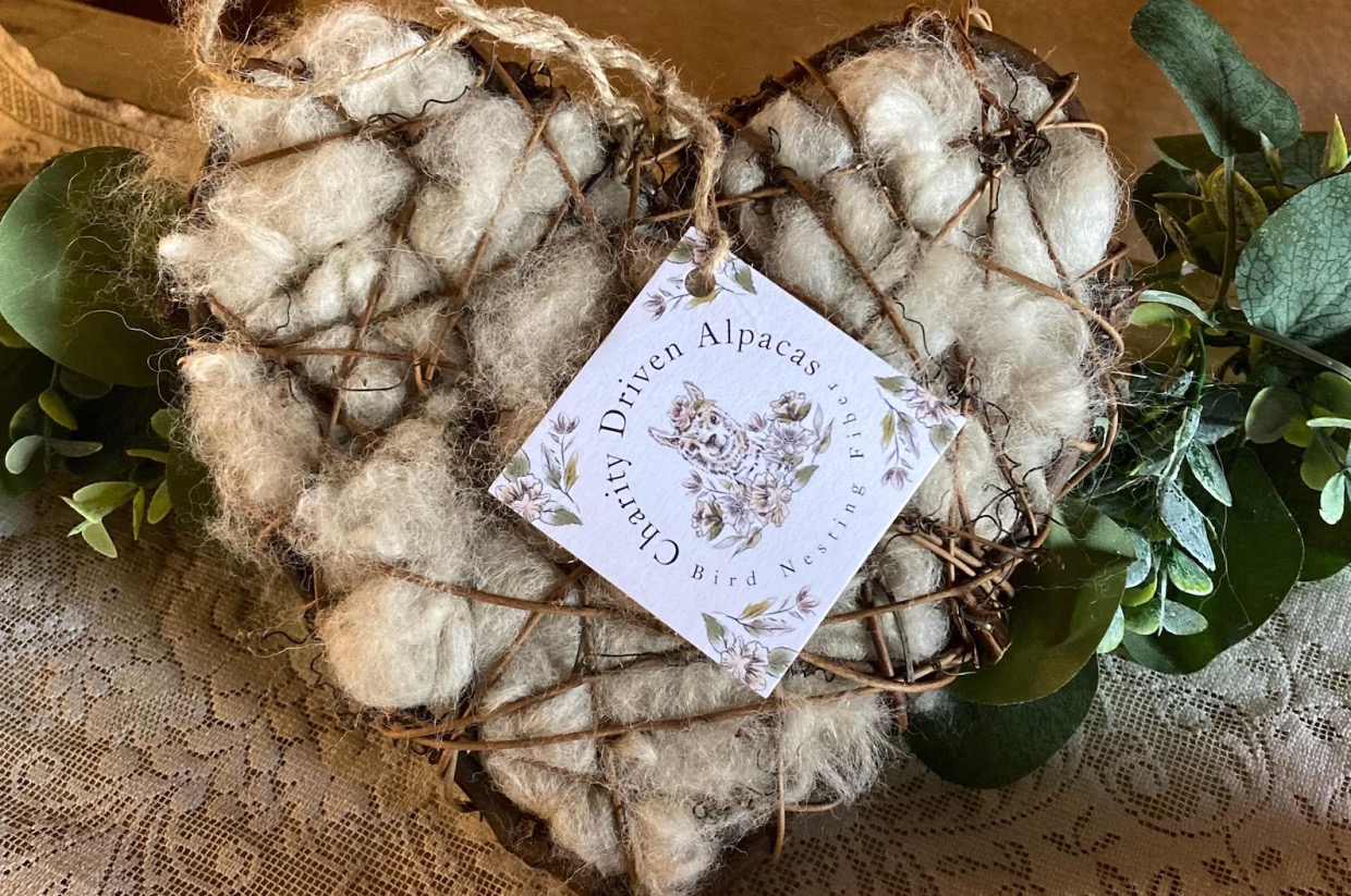 Bird Nesting Heart with Alpaca Fiber | Fall Auction 2025 | Handsome Dan ...